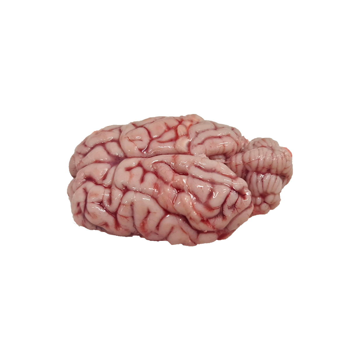 Halal Goat Brain – Delicate, Fresh & 100% Halal | Qazi Brothers